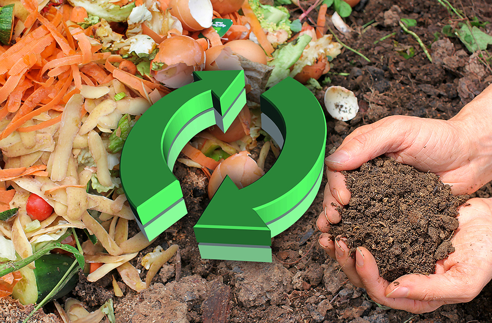 Reusing Western Australia s Food Waste For Improved Farming EPC Media reusing-western-australia-s-food-waste-for-improved-farming-epc-media